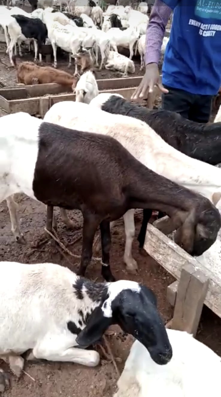 NIGERIA – Al Firdous